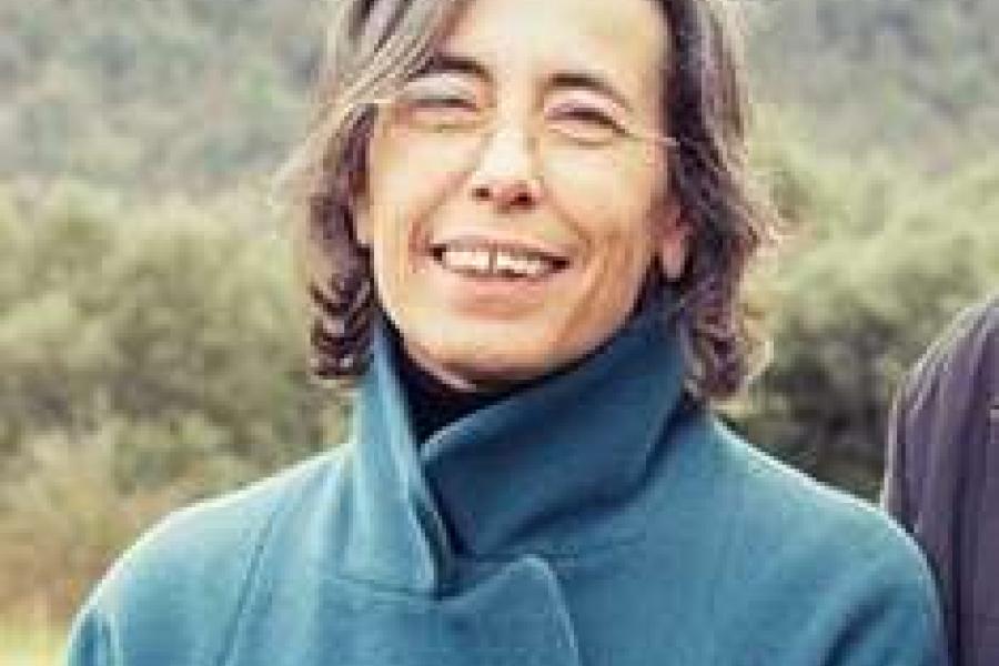 Carme Pigem | Institut d'Humanitats de Barcelona